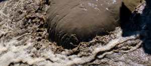 How Does a Sludge Dewatering Centrifuge Work? - AOS Treatment Solutions